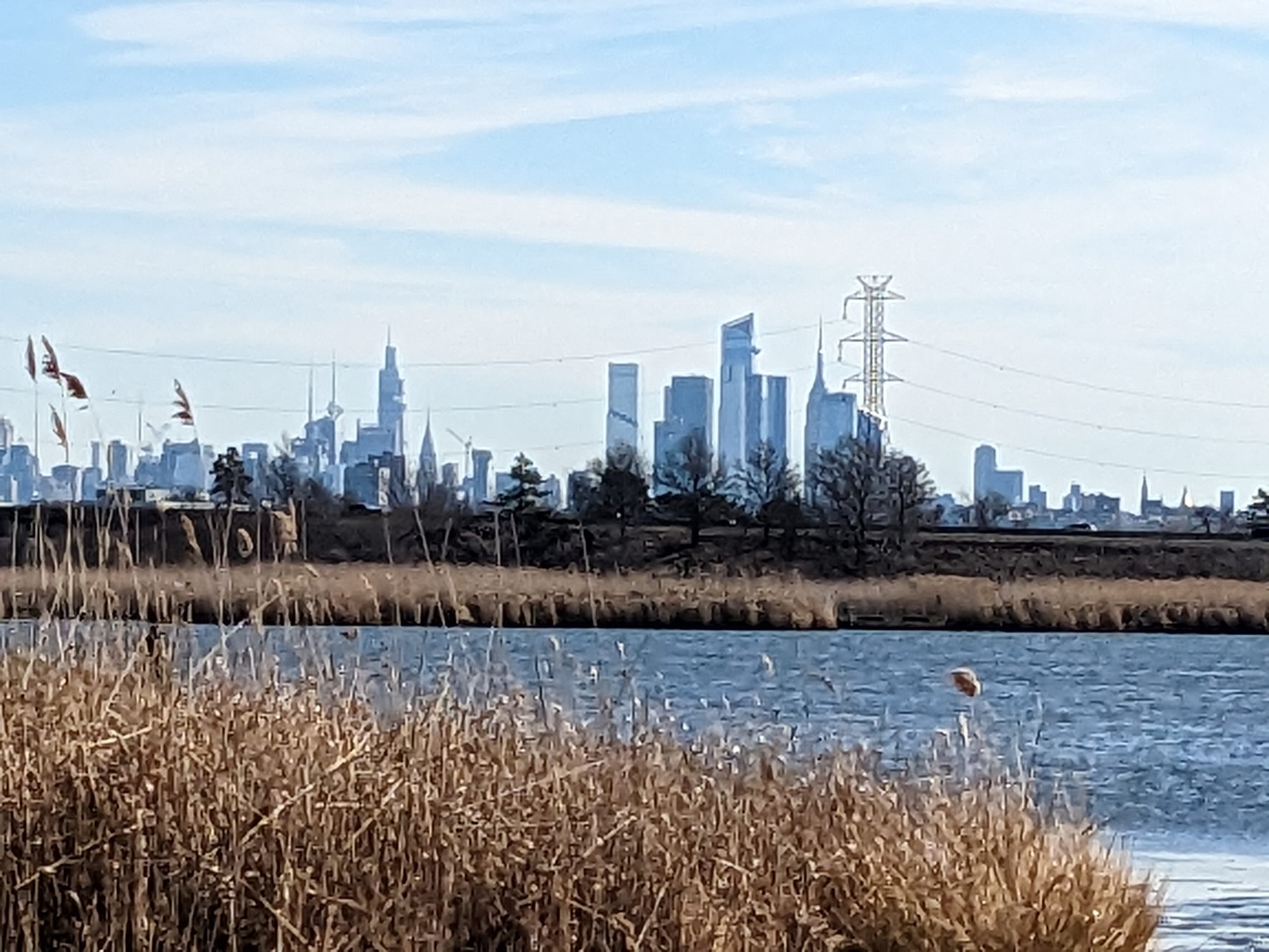 Snowdrops in a human wasteland – Science teacher